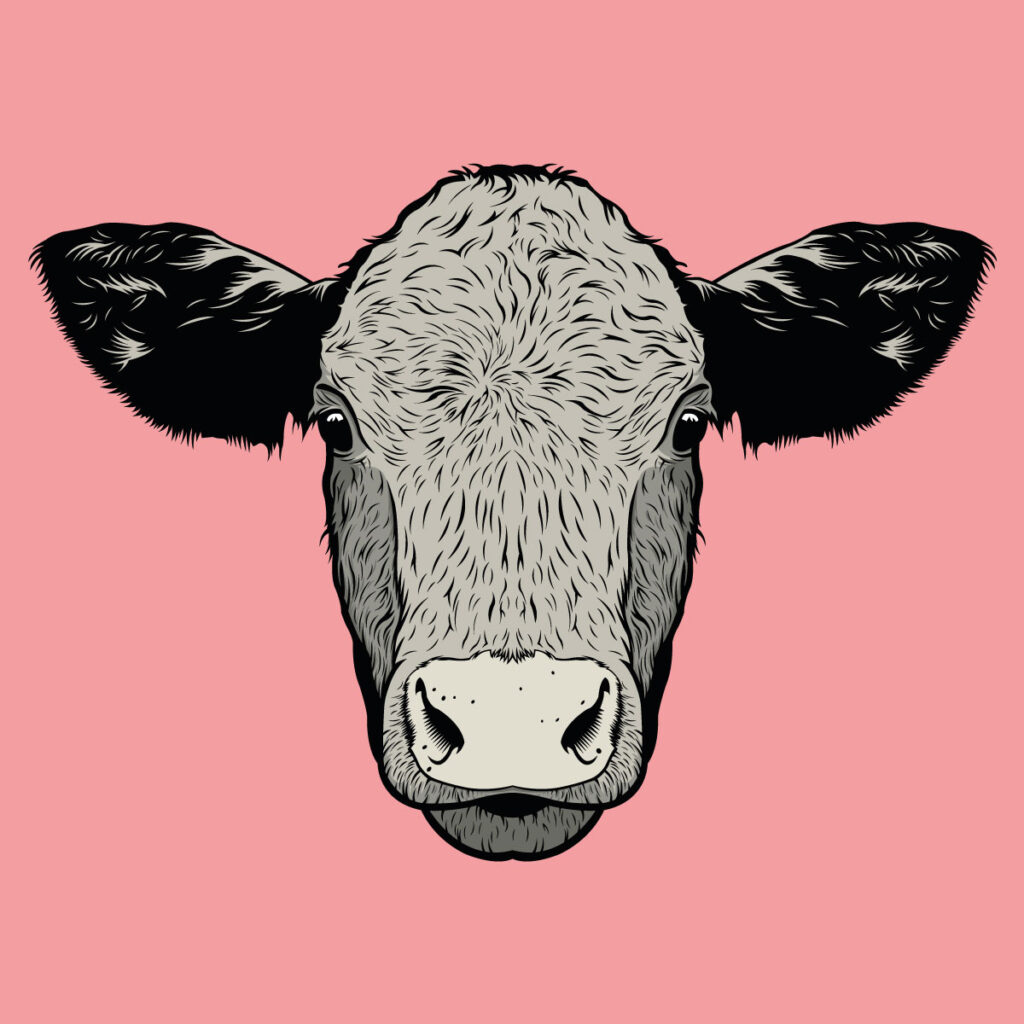 Portfolio | Simon Baumann Grafiker Interlaken Thun Bern